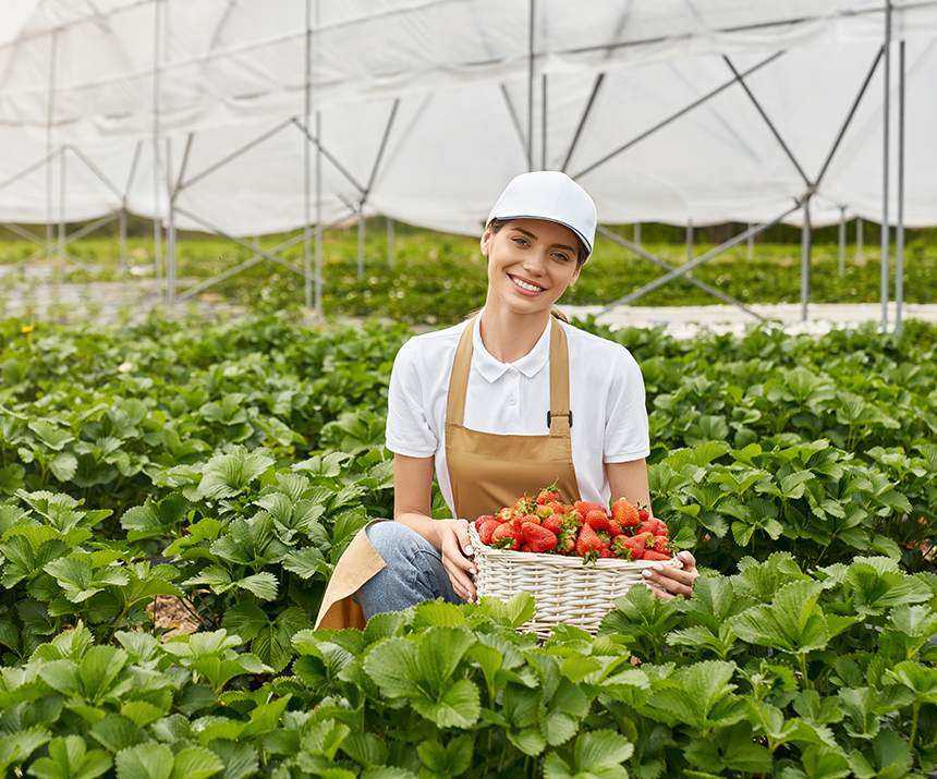 Fresh Chicken - GAD Parroquial de San Miguel